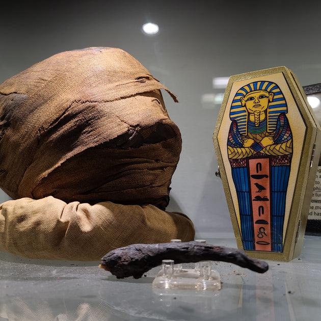 Ancient Egyptian Mystery Sarcophagus (Boxes) | SkullStore Inc.