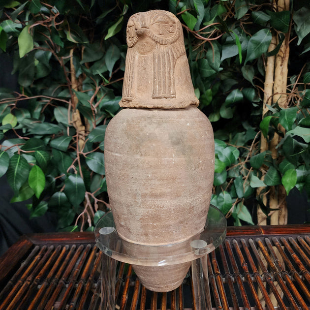 Ancient Egyptian Canopic Jar (Qebehsenuef) *SALE* | SkullStore Inc.