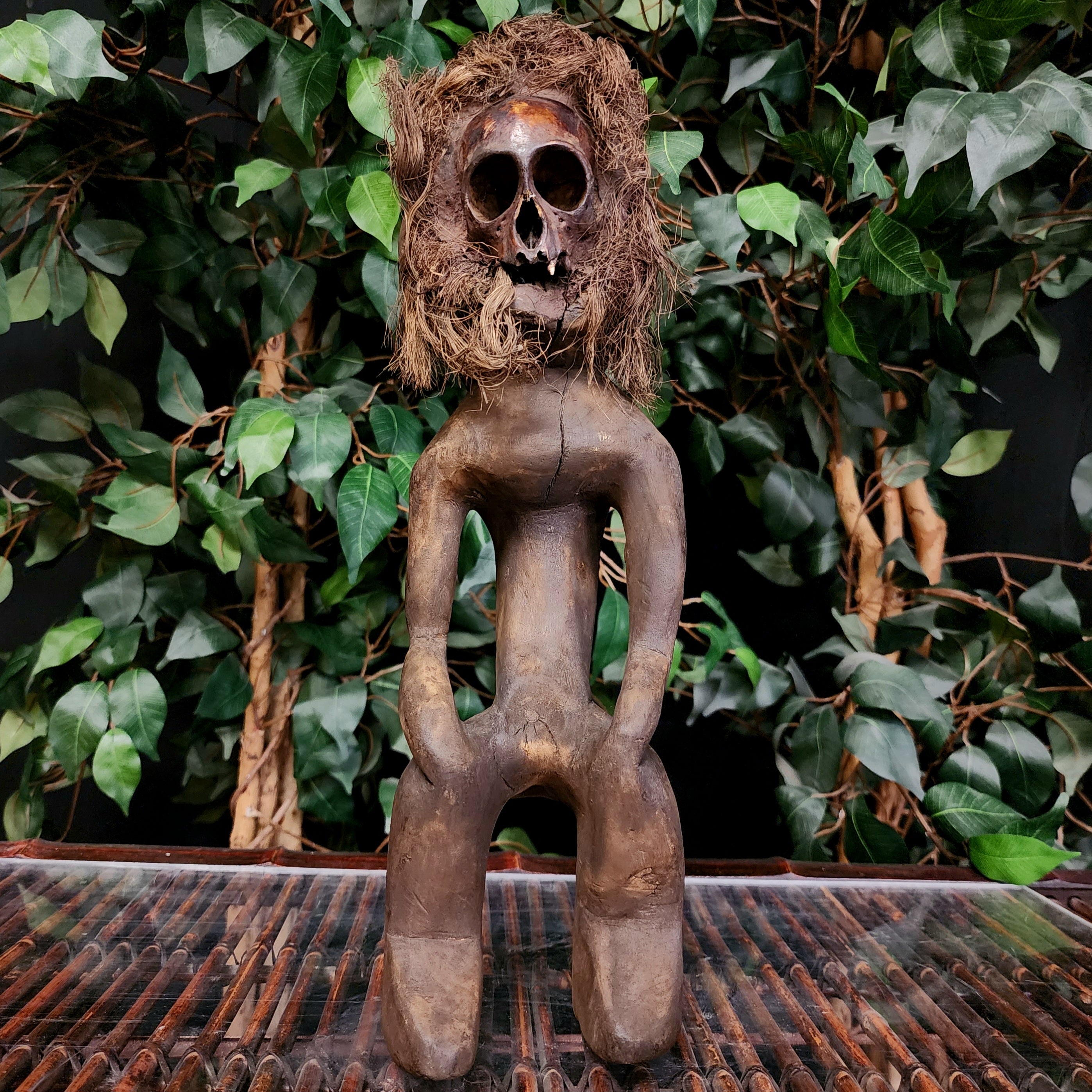 SkullStore // Buy Real Animal Skulls and Human Skulls Online ...