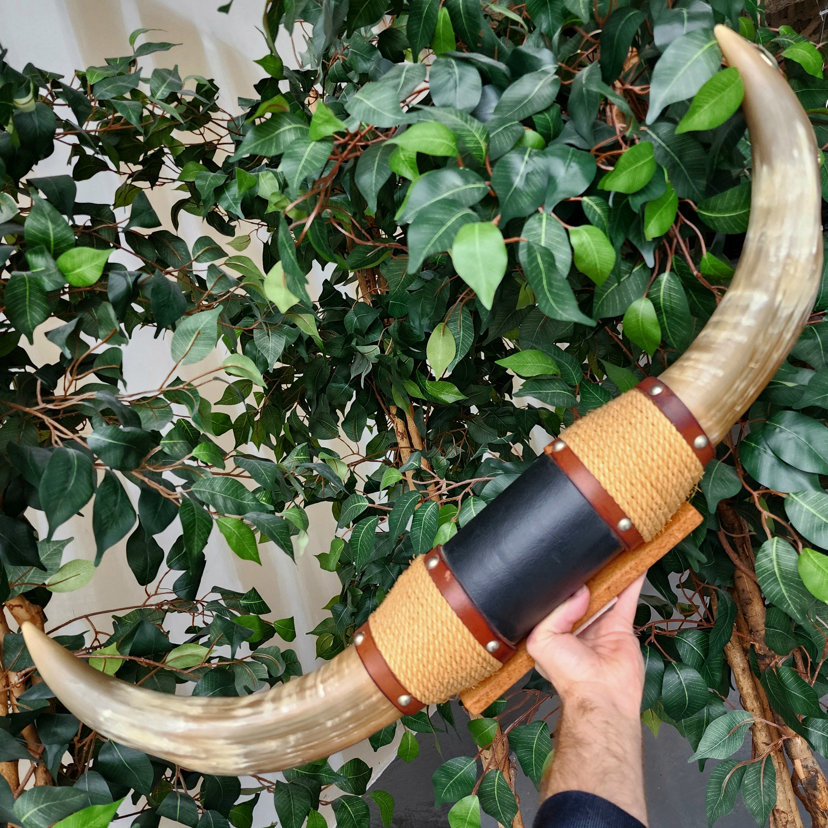 SkullStore // The world's top online oddity and natural history store ...