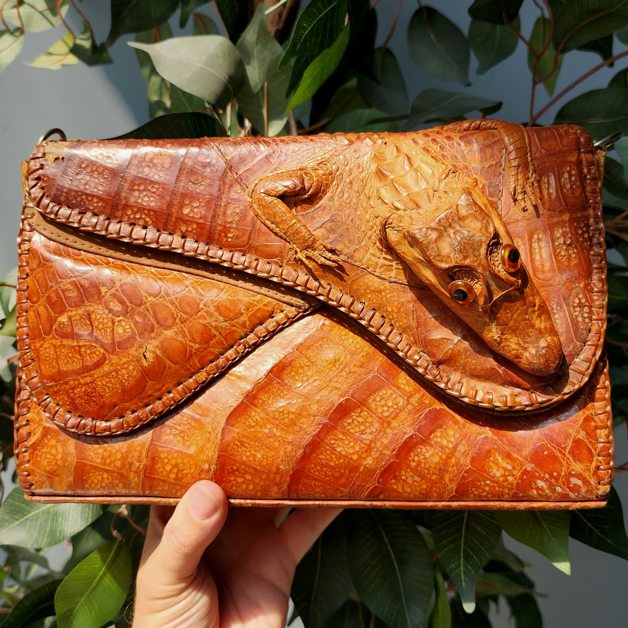 SkullStore // We Are The World's Leading Oddity Shop! Buy Online ...