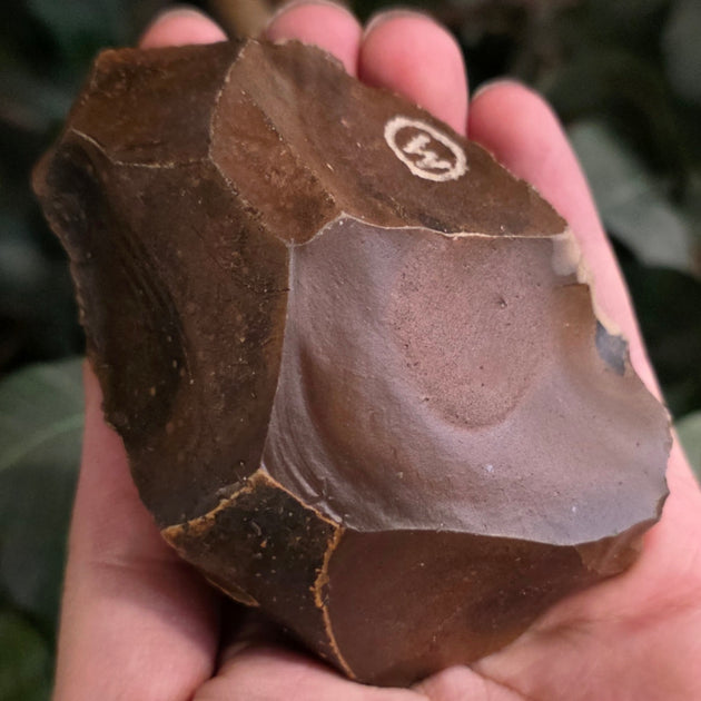 Egyptian Paleolithic Stone Tool, C (Ex-Museum) | SkullStore Inc.