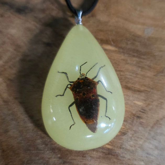 Shield Beetle Necklaces, Glow In The Dark | SkullStore Inc.
