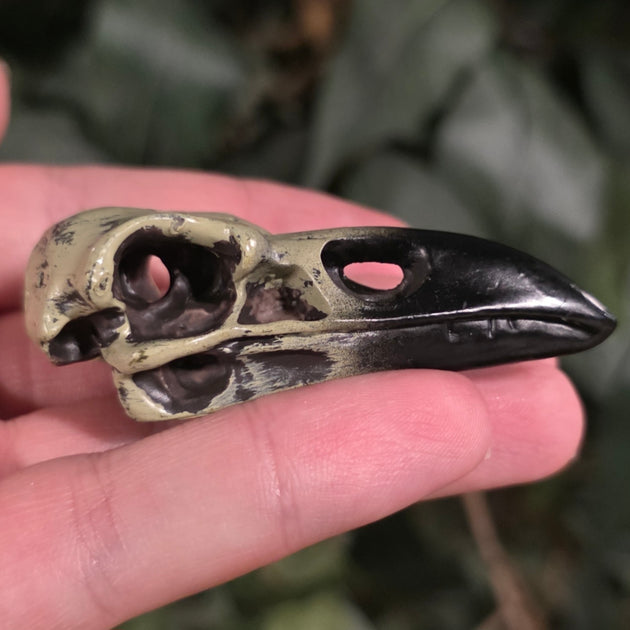Crow Skulls, Resin | SkullStore Inc.