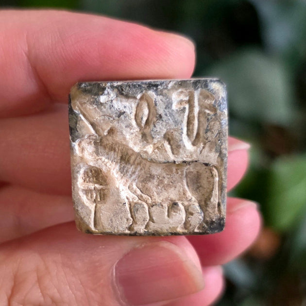 Indus Valley Unicorn Seal, J | SkullStore Inc.