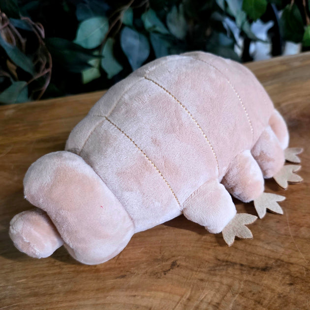 Water Bear Tardigrade Plushies | SkullStore Inc.