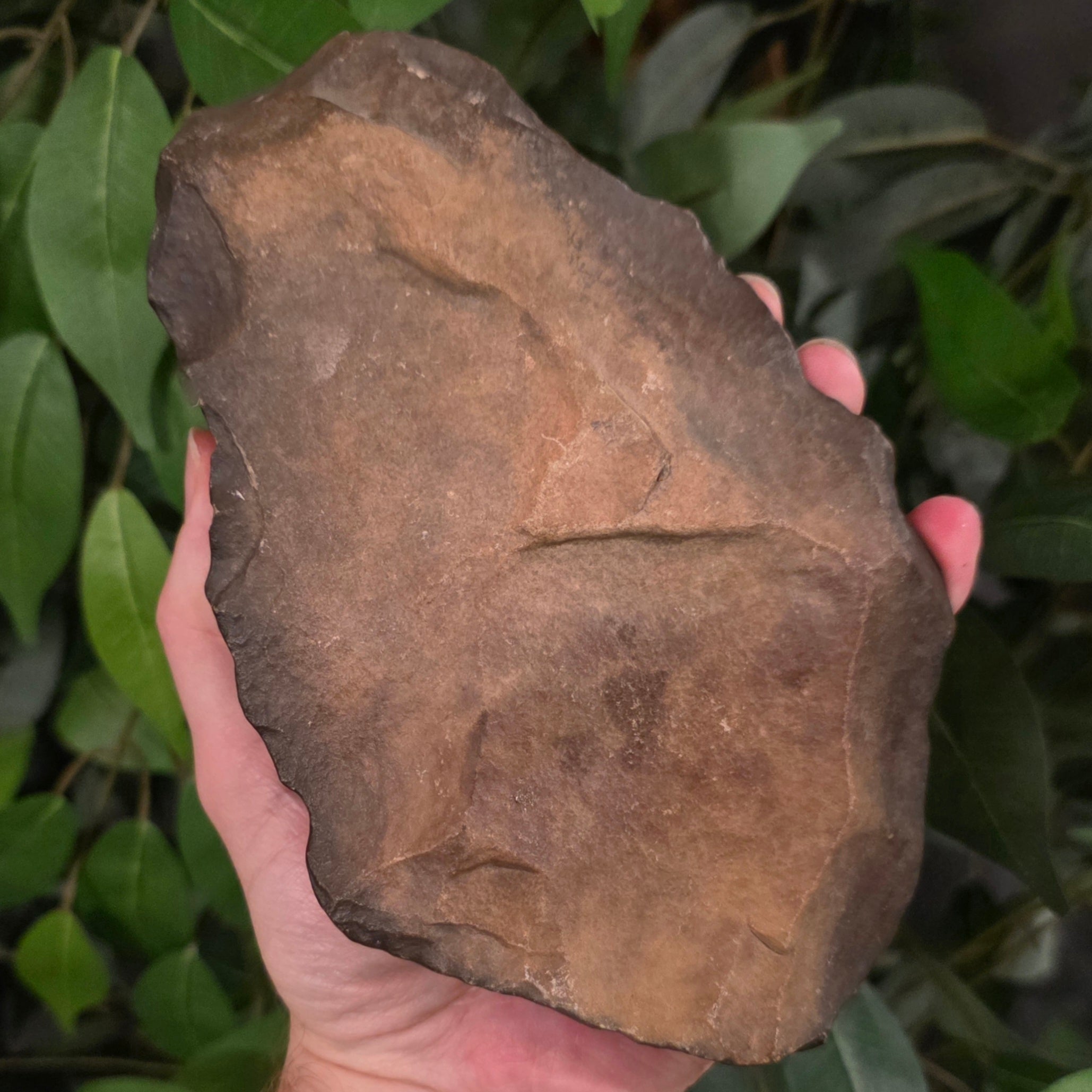 Ancient Acheulean Hand Axe, Morocco M (XL) | SkullStore Inc.