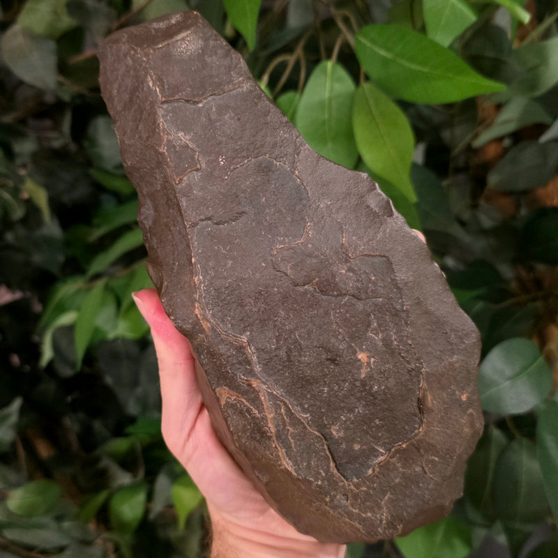 Ancient Acheulean Hand Axe, Morocco N (XXL) | SkullStore Inc.