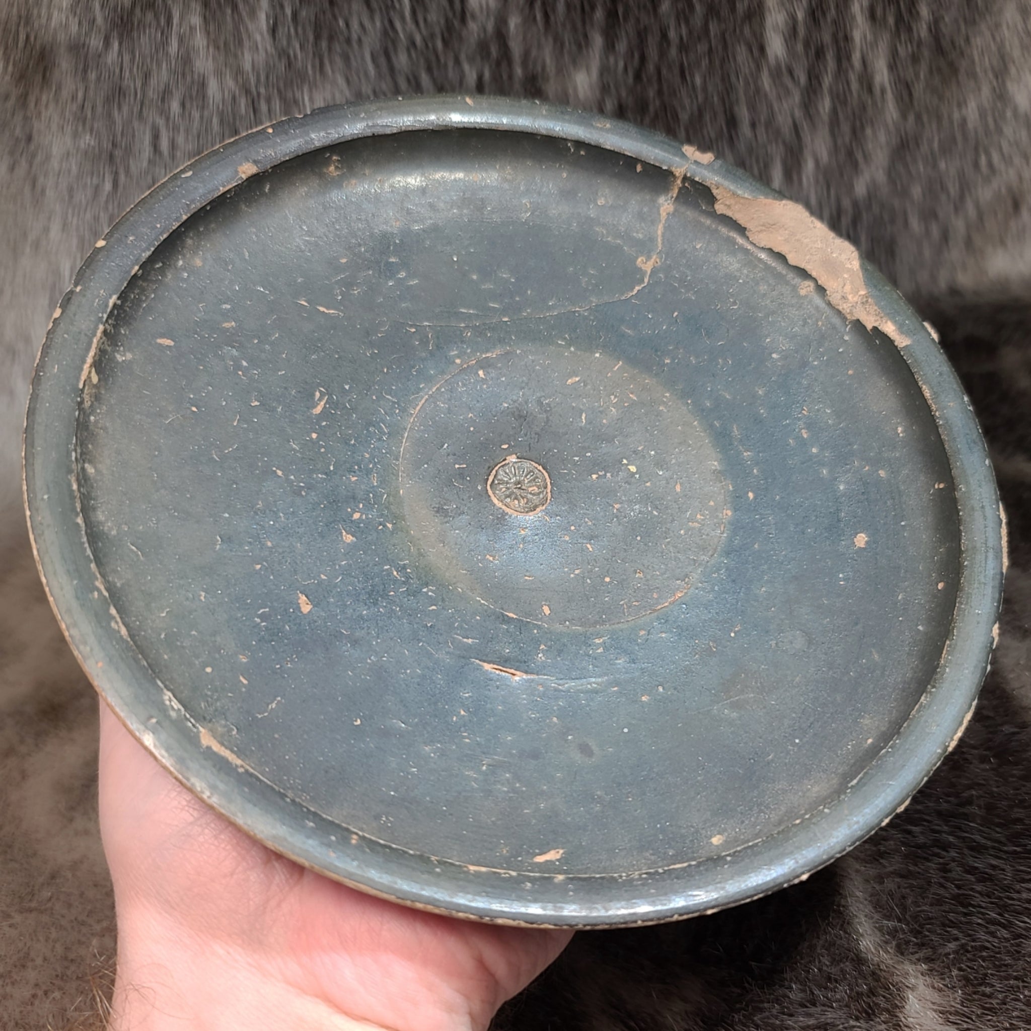 SkullStore // The world's top online oddity and natural history store ...